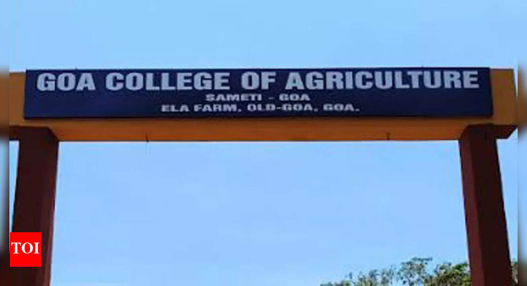 Mudassachem: Goa College of Agriculture set to celebrate millets, mango ...