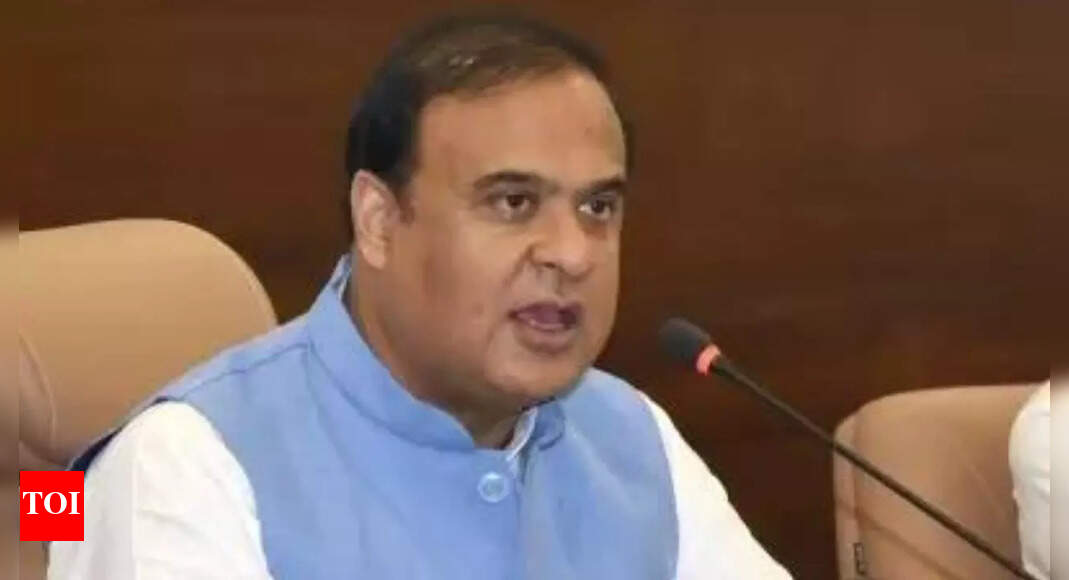 Cong win in Karnataka will not affect BJP in 2024 Lok Sabha polls: Himanta | Karnataka Election ...