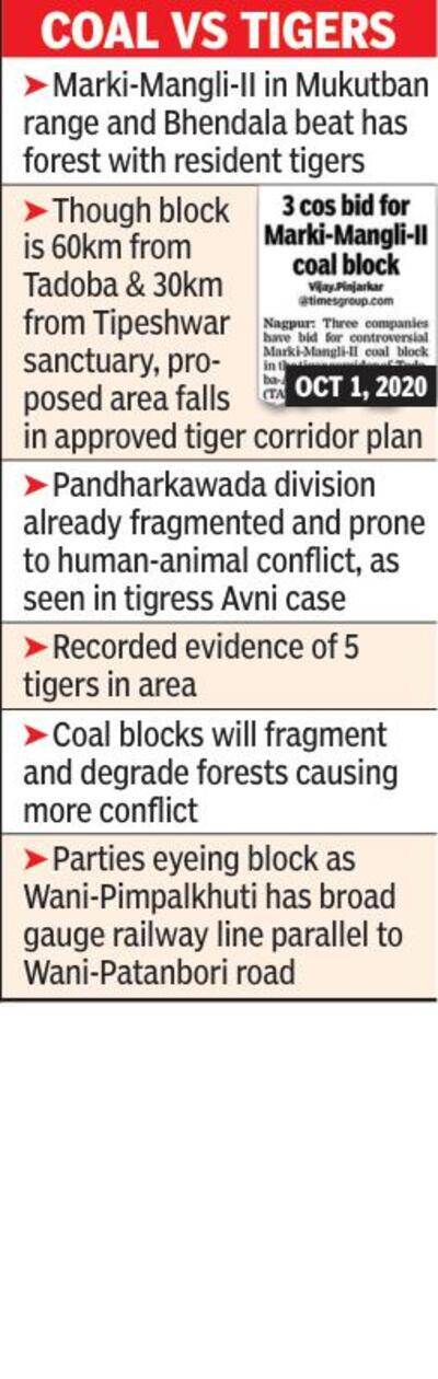 Hearing today for Mangli coal block opposed by greens | Nagpur News ...
