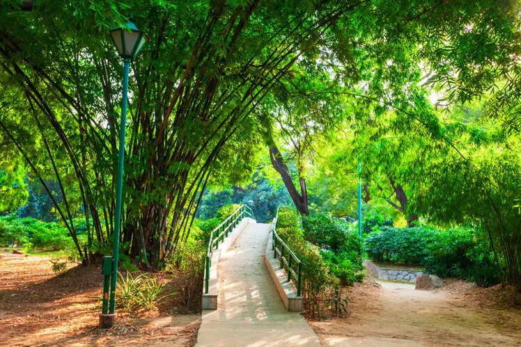 Did you know about these hidden places in Delhi? | Times of India Travel