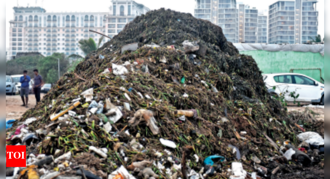 GCC, it’s time to look at your waste line again | Chennai News - Times ...