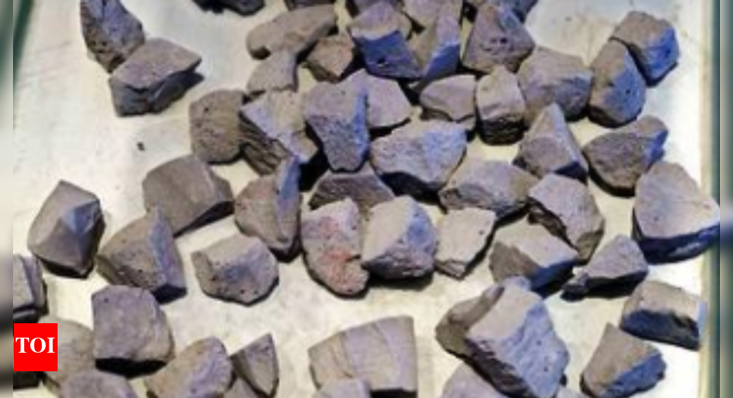 NTPC East UP units to produce fly ash-based building material ...