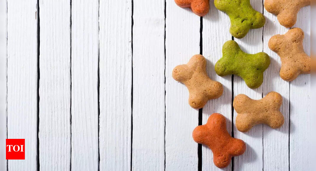 Best dog biscuits for your furry friend - The Times Reviews