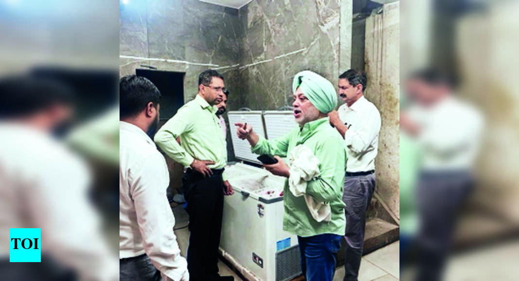 Mc Raids Meat Shops, Seizes 500kg ‘unhygienic’ Meat | Ludhiana News ...