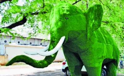 Conclave To Discuss Elephant Conservation | Coimbatore News - Times of India