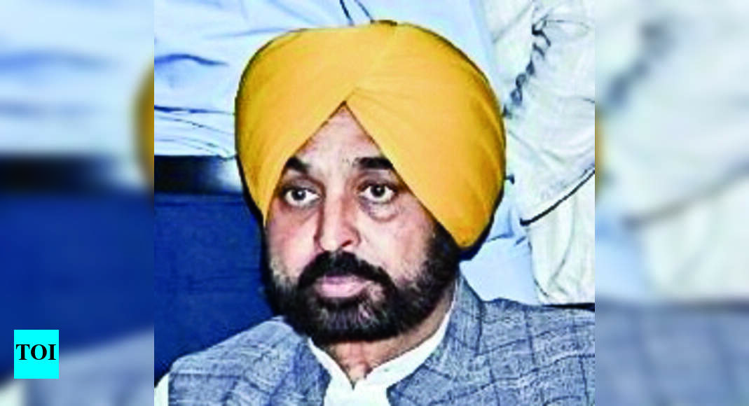 Mann: Cm Announces Zone-wise Paddy Cultivation Plan For Pb | Chandigarh ...