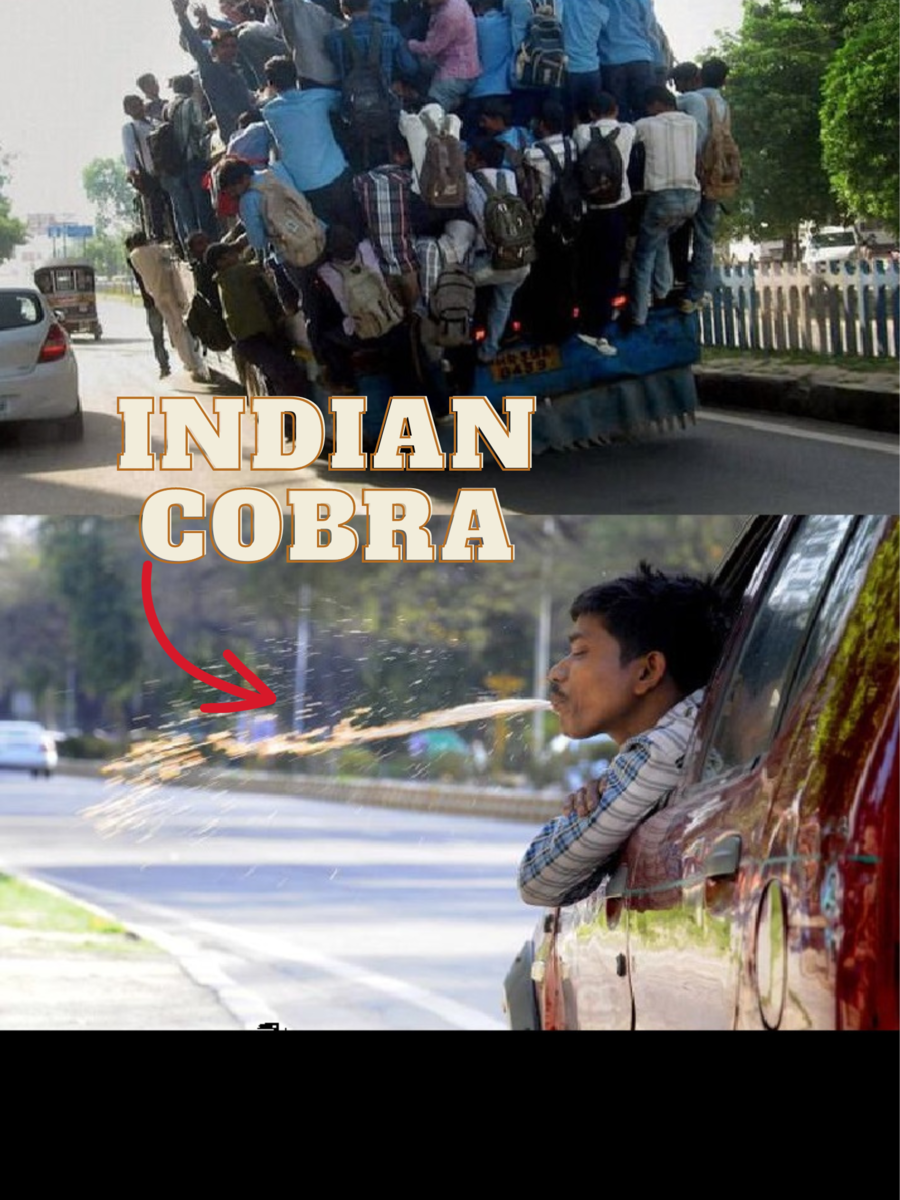 7 Habits Every Indian Car Driver Can Relate To | Safety Tips | Times Now