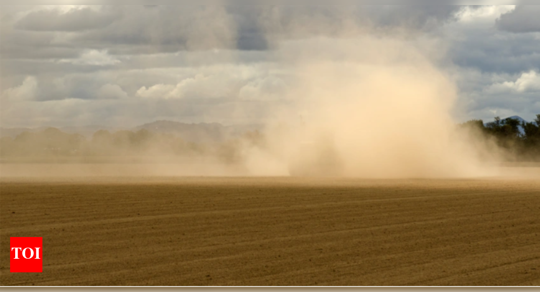 Watch: Dust storm surrounds a kid playing baseball - Times of India