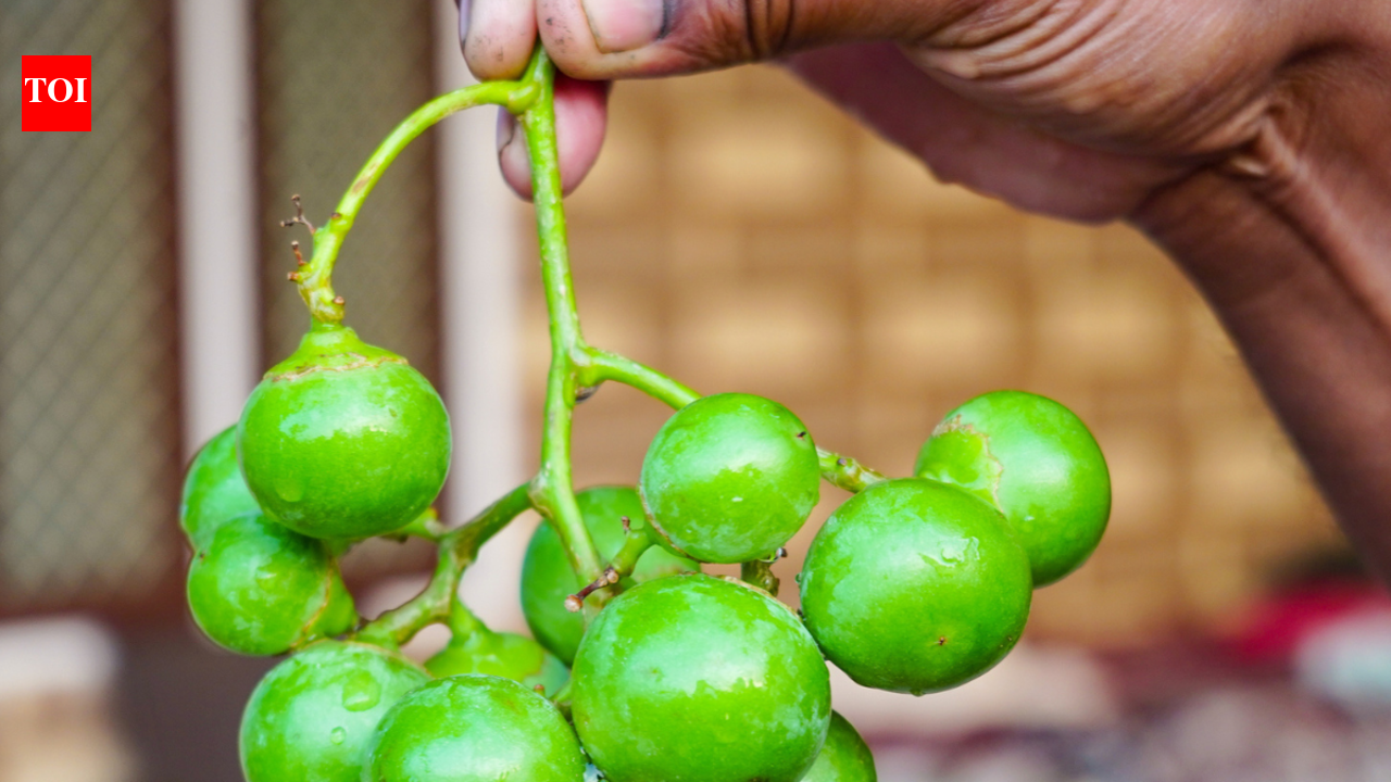 This rare Indian fruit comes in the market for just 2 months, and has ...