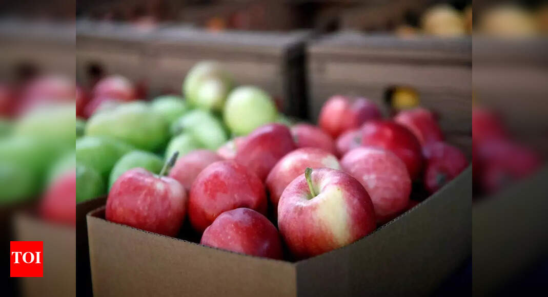 Govt introduces Minimum Import Price for apples in J&K to support local ...