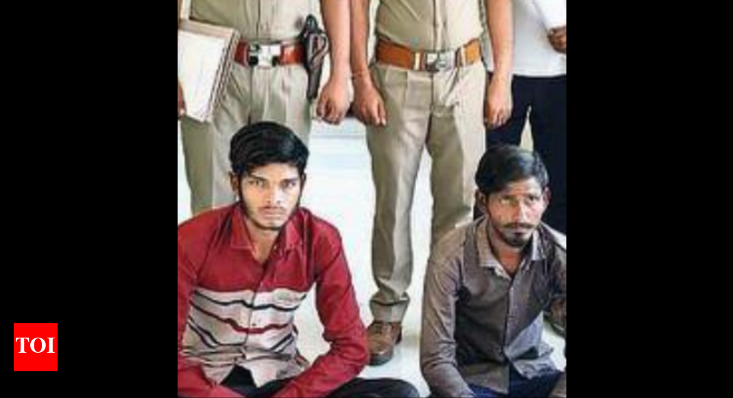 Two arrested for harassing a lion with stones, pipes | Rajkot News ...