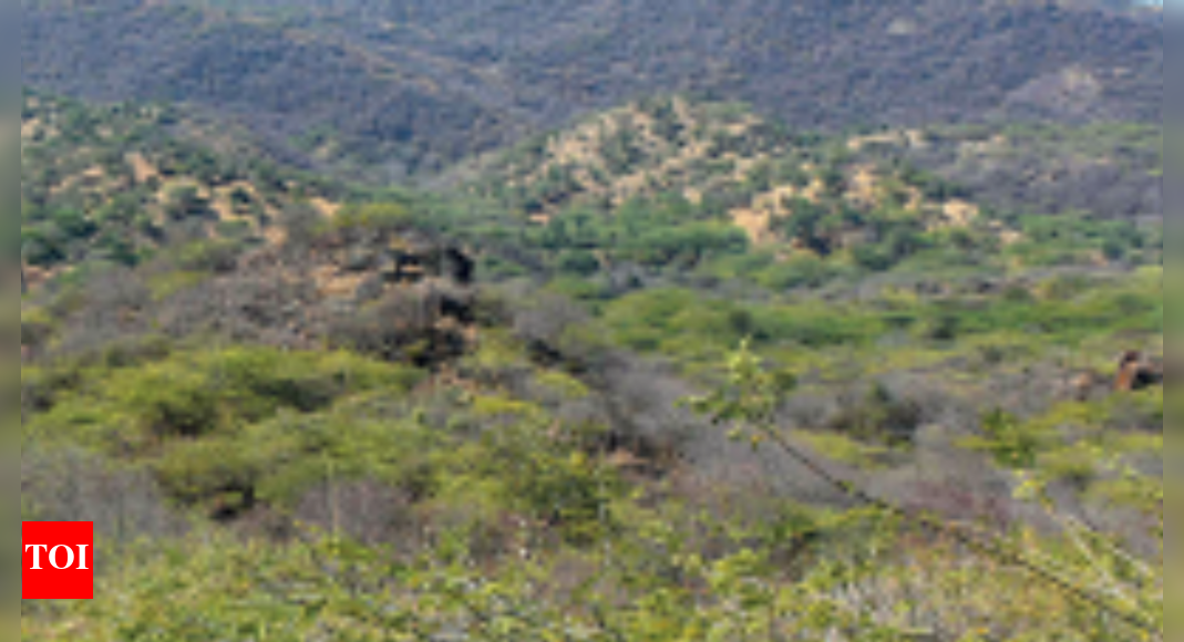 Aravali Forest dept says Will restore protected land | Gurgaon News ...