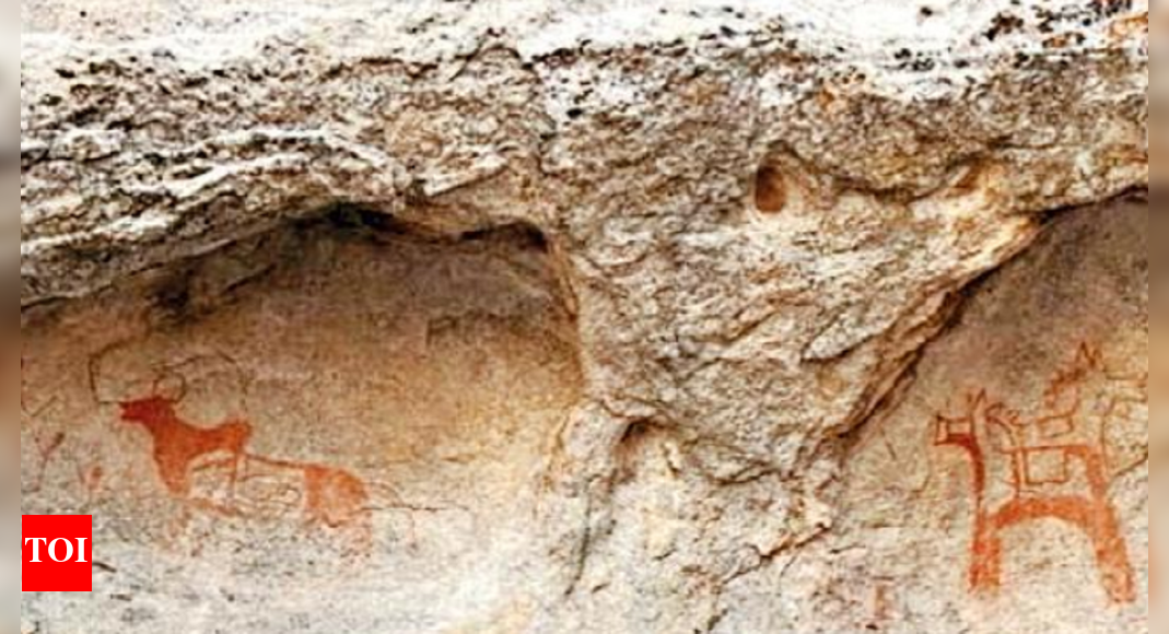 Found in Gujarat forest: 5,000-year-old civilization set in stone ...