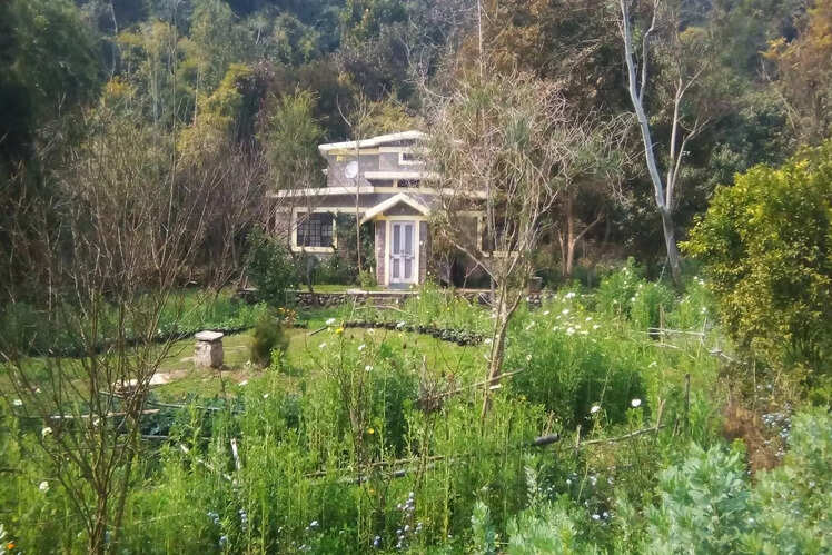 These farmstays in India will take you back to simpler days | Times of ...