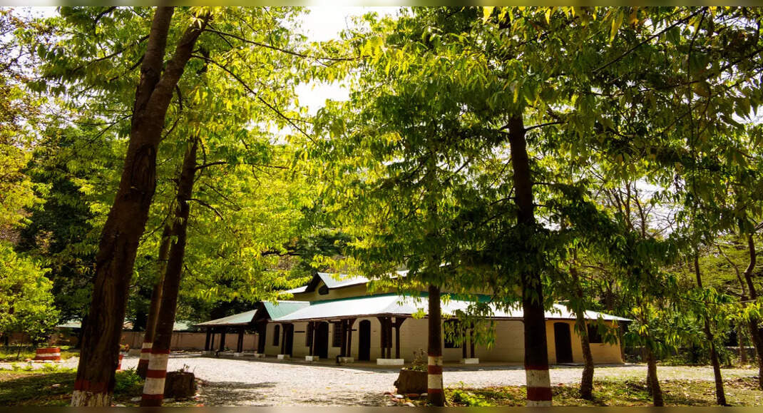 Pawalgarh Conservation Reserve and what it’s doing for nature ...