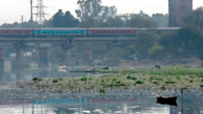Lucknow: Gomti river in troubled waters after alarming drop in its level | Lucknow News - Times ...