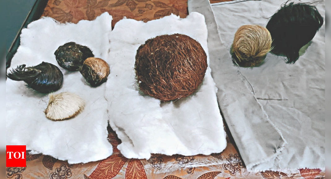 ‘rare’ Musk Pods Now Reach State In Plenty, Forest Officials Smell ...