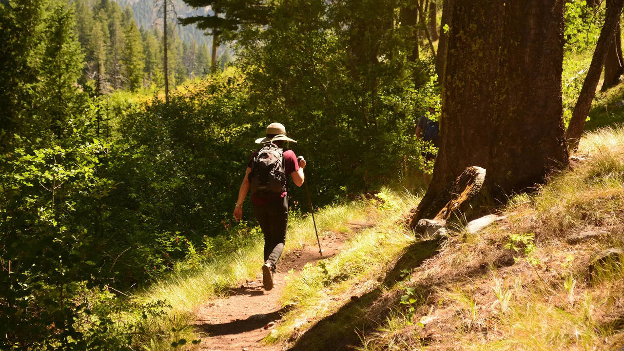Explore The Great Outdoors: Essential Gear & Tips For Summer Trekking