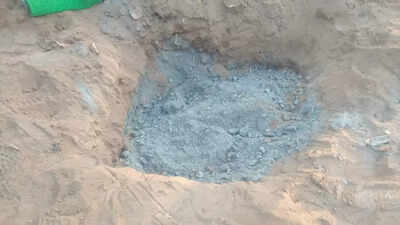 Bandhavgarh Tiger Reserve employees booked for burning dead elephant ...