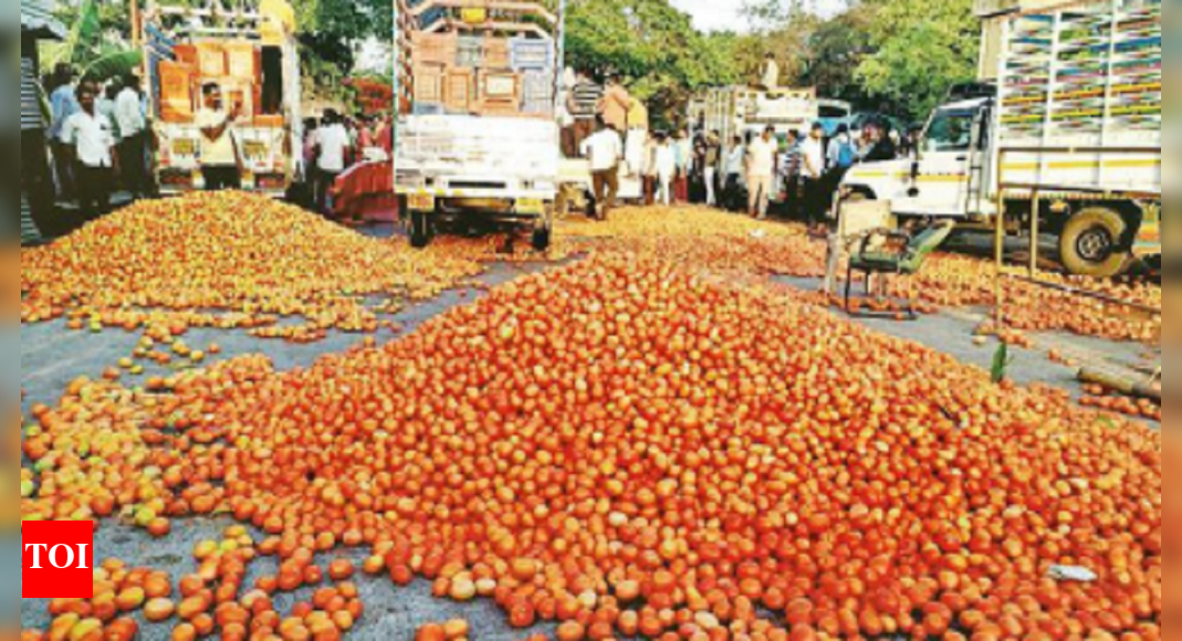 Farmers: Nashik farmers dump tomatoes on roads as prices crash | Nashik ...