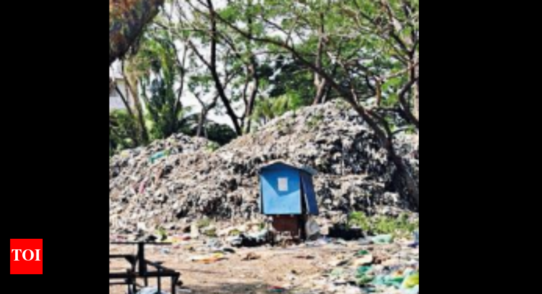 Dumping waste in open spots: Squads to be strengthened | Kochi News ...