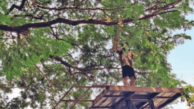 Relocate hoardings, not trees, in case of hindrance: Bangar | Thane ...