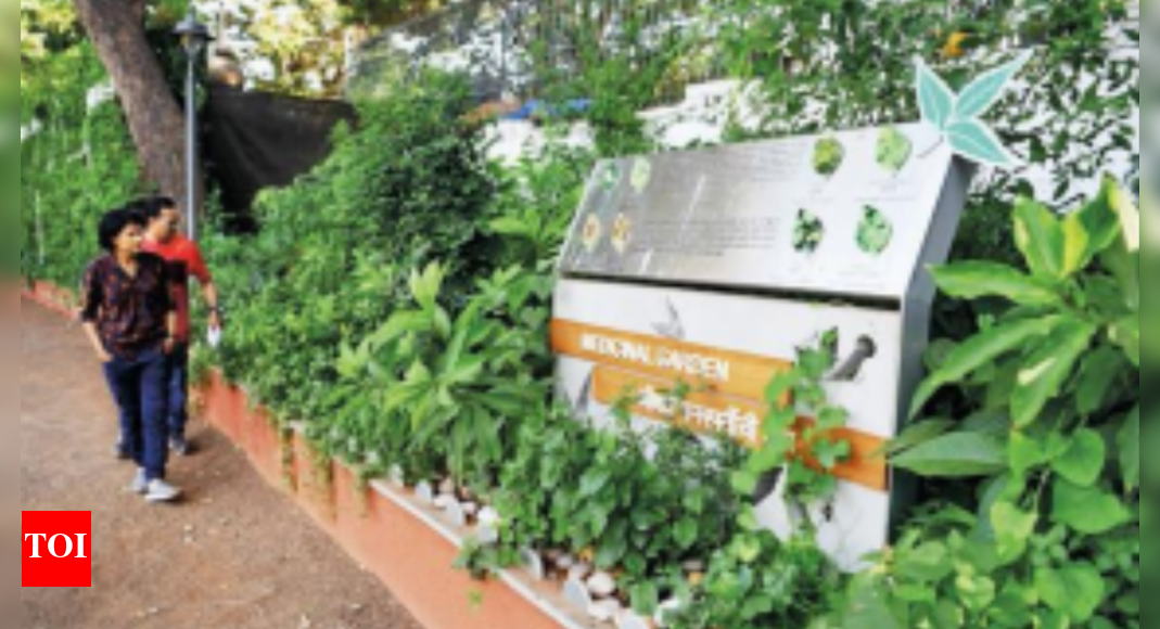 Rare, native plants take root at museum's new botanical garden | Mumbai ...