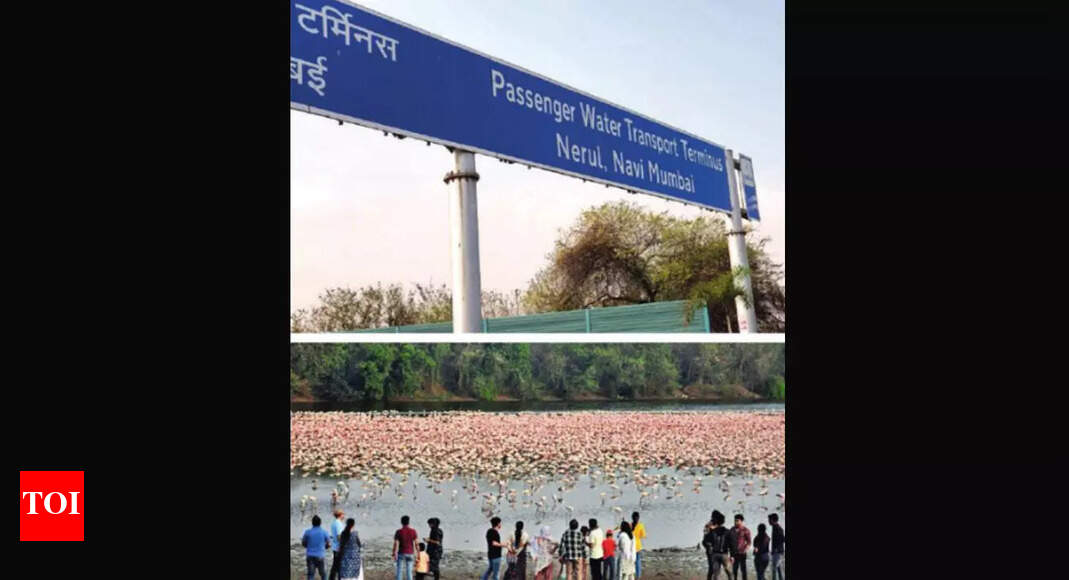 Towering signboard at defunct Nerul jetty a hazard for flamingos ...