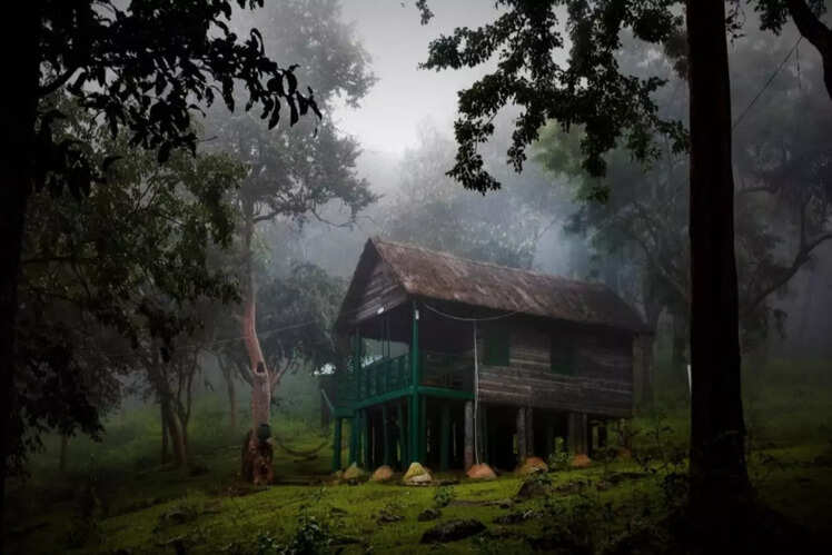 India’s most alluring forest rest houses | Times of India Travel