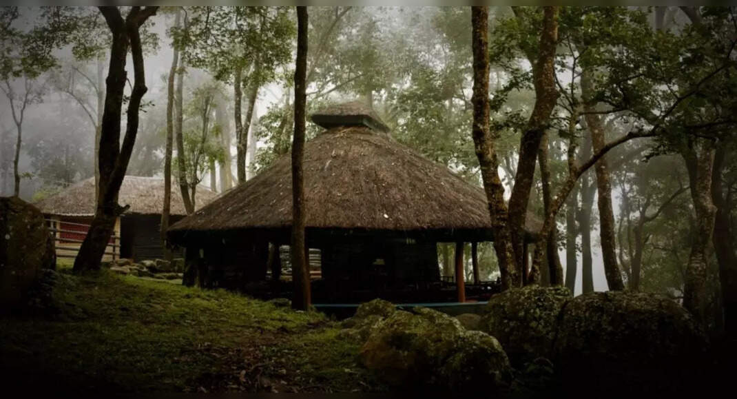 India’s most alluring forest rest houses | Times of India Travel