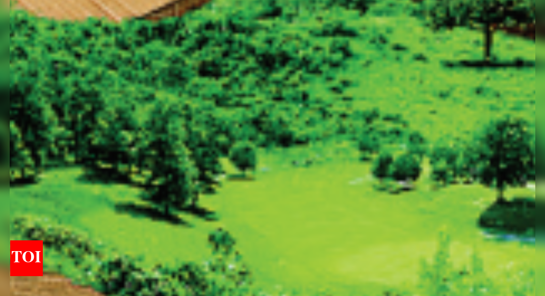 Satna: Over 1550 Demarcation Disputes Resolved In A Day | Bhopal News ...