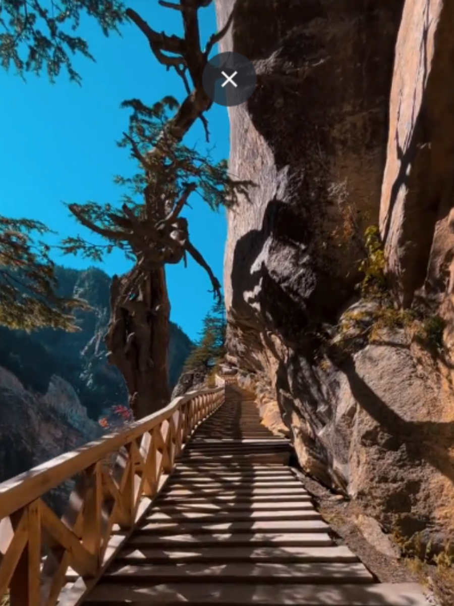 150-Year-Old Himalayan Bridge Defying Nature's Tests at 11,000 Feet ...