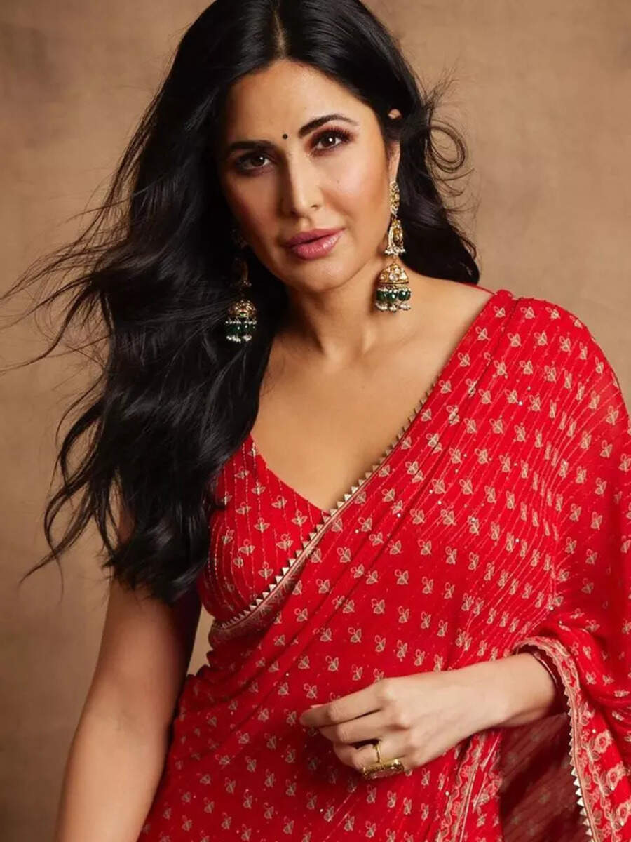 Katrina Kaif serves major ethnic vibes in saree | TOIPhotogallery