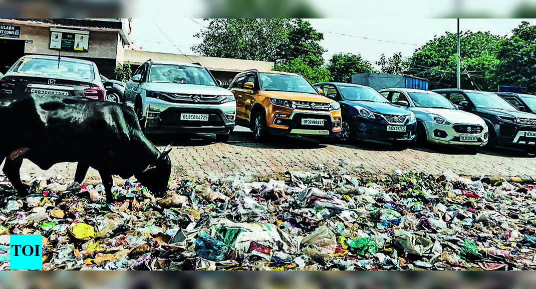 Trash Piles Up On Streets As Safai Workers Suspend Work Yet Again ...