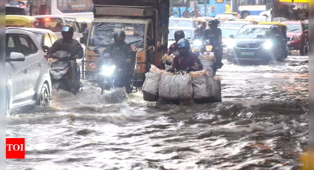 Pre-monsoon Rain, Waterlogging Raise Danger Of Multiple Ailments ...