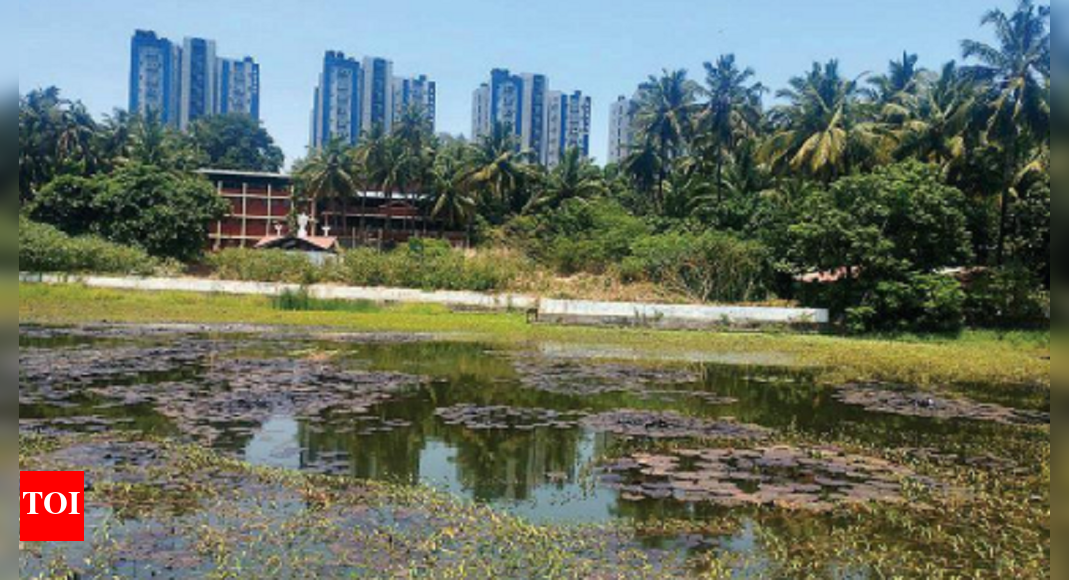 Sasmollem: After Amthane croc attack, fear ripples at Sasmollem lake ...