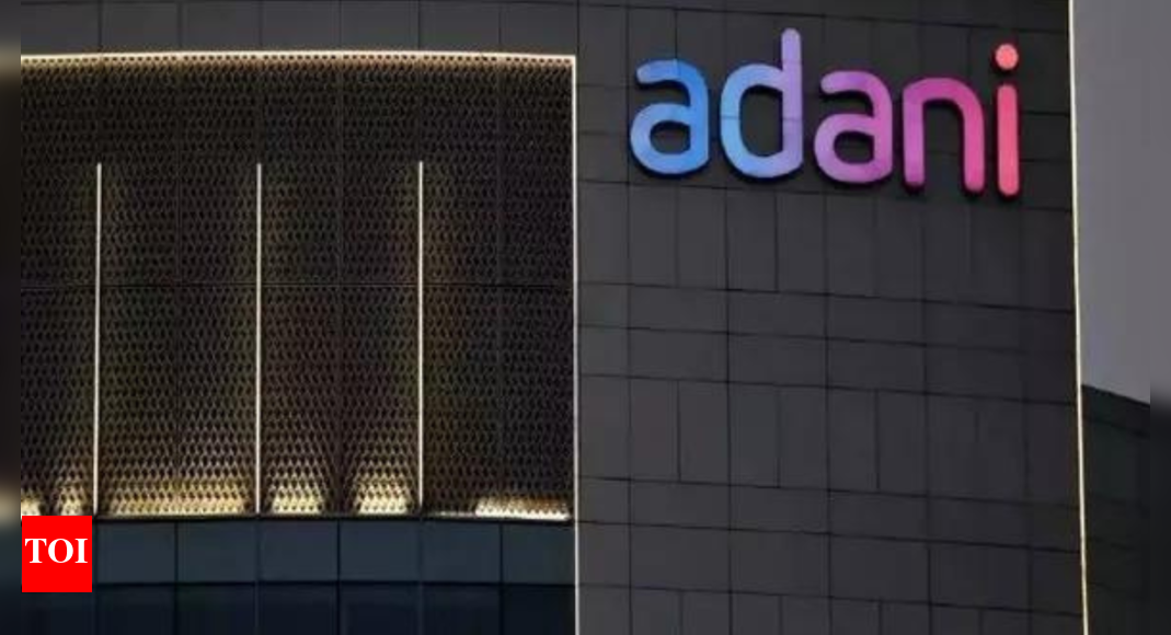 Adani: Adani Group weighs $3 billion investment in Vietnam - Times of India
