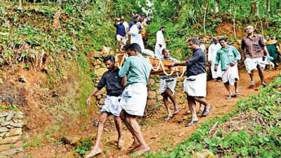 Gaur attacks: Identifying red lines, changing habitats | Kochi News ...
