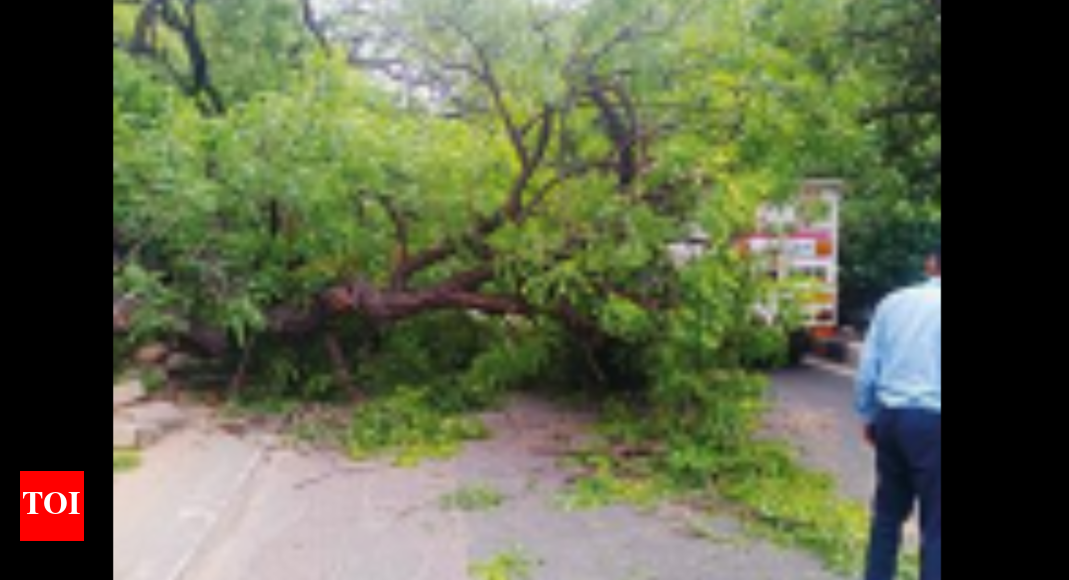 Breakdown of truck, fallen tree disrupt traffic flow | Delhi News ...
