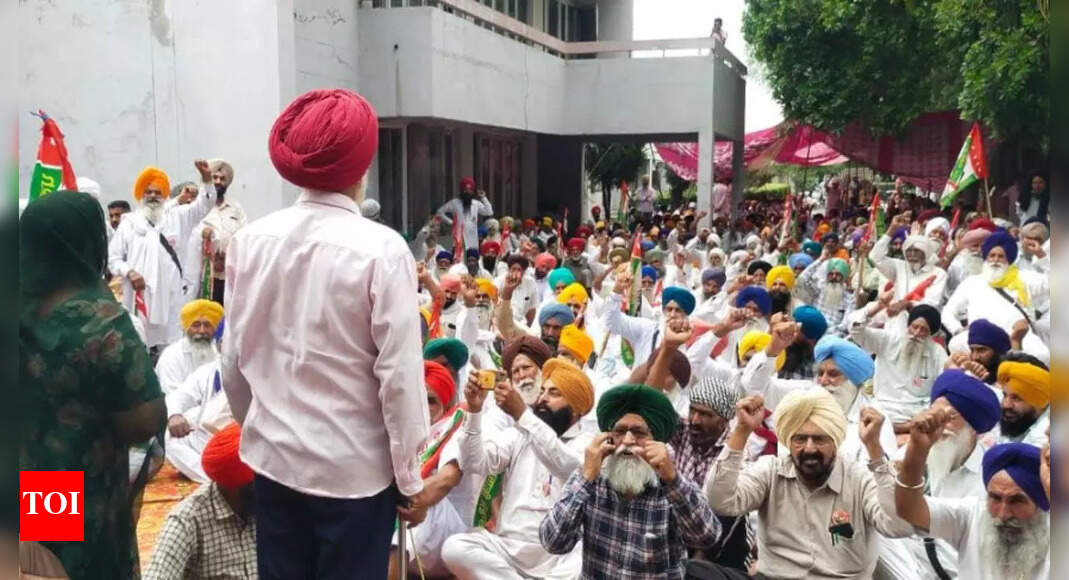 Depleting groundwater levels raise alarm in Punjab's Majha region ...