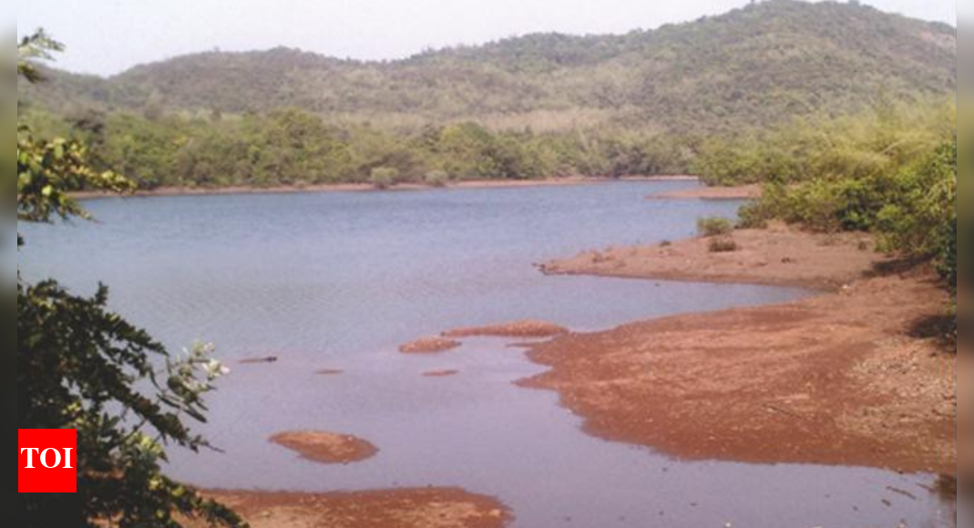 Level in 2 dams below 10%, WRD says good for month | Goa News - Times ...