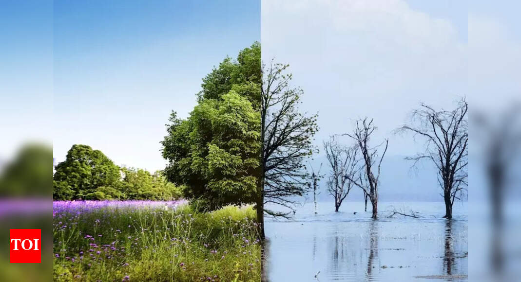 Climate change explained: Causes, impacts, and solutions - Times of India