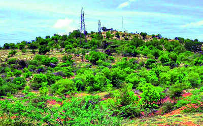 Madurai ‘view Point’ To Be Chosen From 5 Sites | Madurai News - Times ...