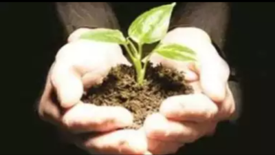 UP to create another plantation record by planting 35 crore trees in a ...