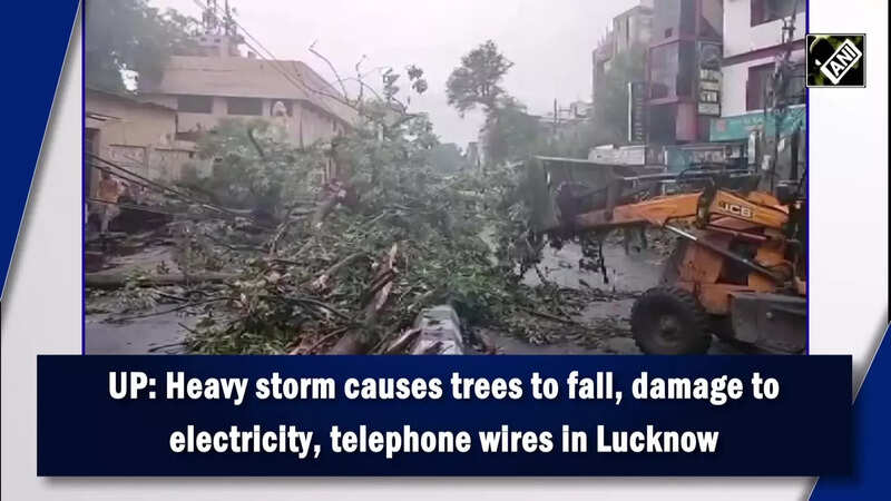 UP: Heavy storm causes trees to fall, damage to electricity, telephone ...