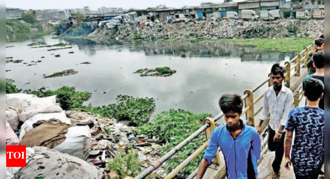 Mithi: Fish Being Sighted Now In Mithi, Claims Bmc | Mumbai News ...