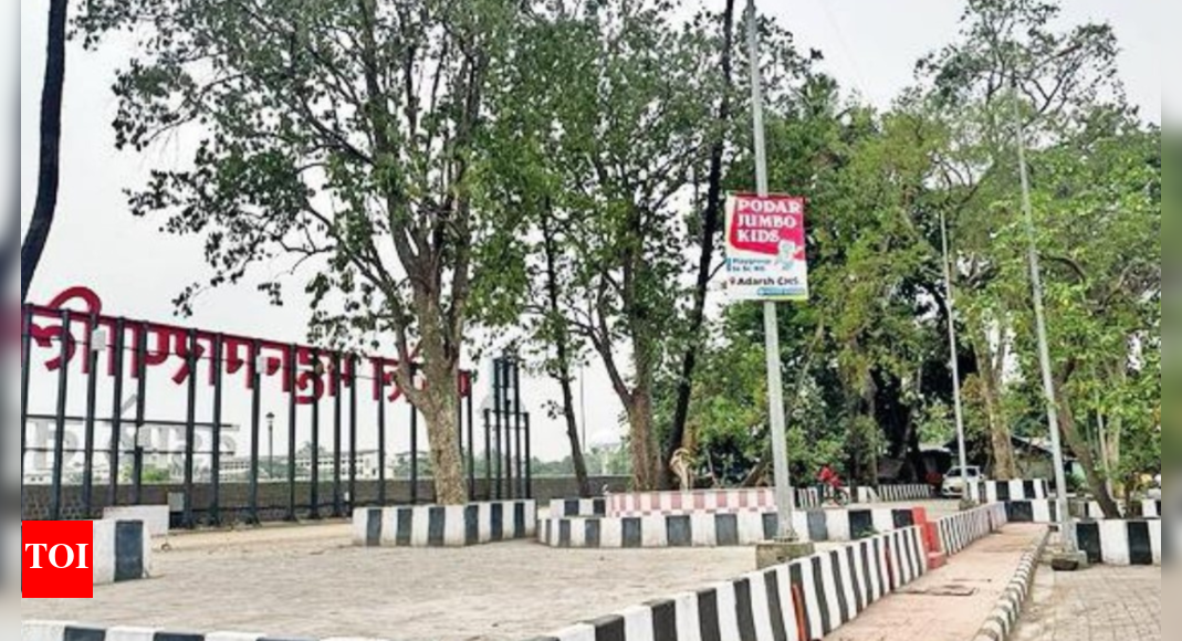 Vadale Talav Trees Hit By Cemented Surface | Navi Mumbai News - Times ...