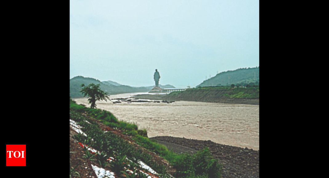 Narmada: ‘10k Villages Getting Narmada Water’ | Ahmedabad News - Times ...