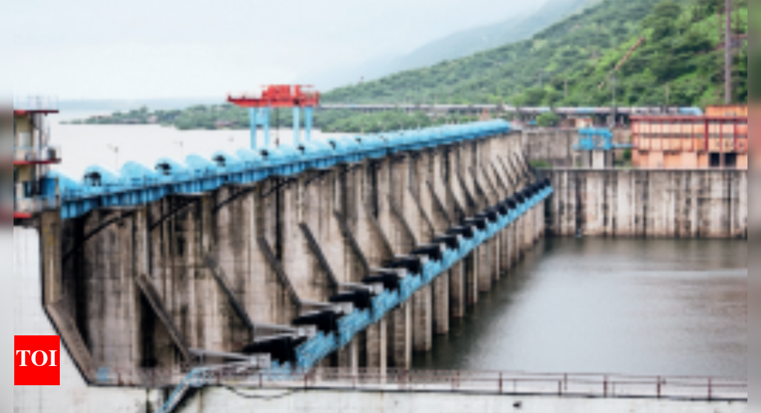 Bisalpur Water Can Quench Thirst Till The Next Summer | Jaipur News ...