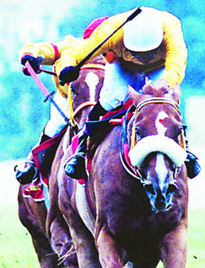 Northern Lights Gallops To Fine Victory | Bengaluru News - Times of India